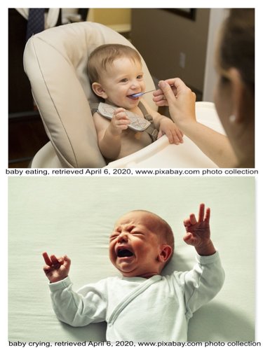 Trust vs. Mistrust: birth to 12 months (Mooney, 2013)