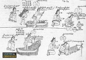JOB SPECIALIZATION:the Aztecs had a lot of jobs in their culture.the ...