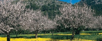 Santiago, told me that "he'd dreamed that he was alone in a tinfoil ...