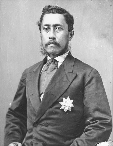 William Charles Lunalilo (1873 - 1874)