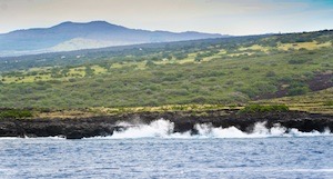 The process and wait for land is a long and tiring. Unfortunately, the ...