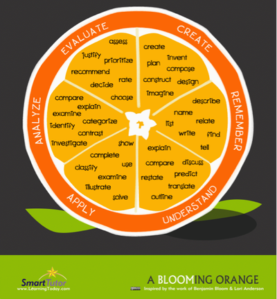 Same Bloom - Different Visual & Interpretive Language