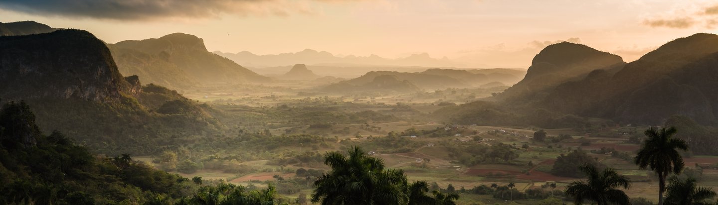 To print the story please do so via the link in the story toolbar.