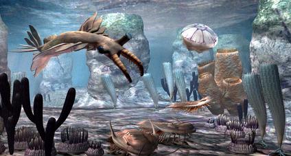 This is the environment of the Cambrian Period. in this picture is many ...