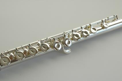 The first part you want to take out is the body. Hold the body of the ...