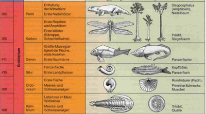 das Erdaltertum mit seinen Lebewesen