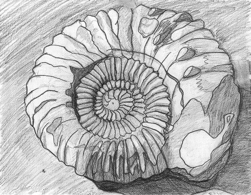 Image credits: https://npgallery.nps.gov/AssetDetail/f7c82e90-34a0-4c35 ...