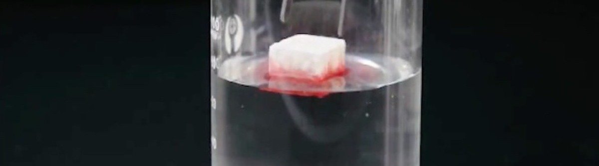 Photo of Wood Sponge absorbing silicone (dyed red) out of water.
