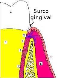 Compartir Comentario