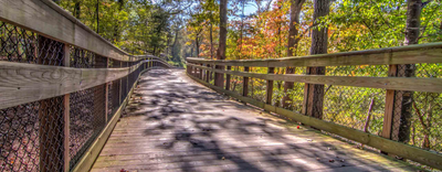 a photograph of one of the constructed bridges on the Neuse River Trail ...
