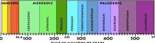 To print the story please do so via the link in the story toolbar.