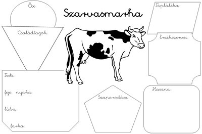 Készíts gondolattérképet a szarvasmarháról!