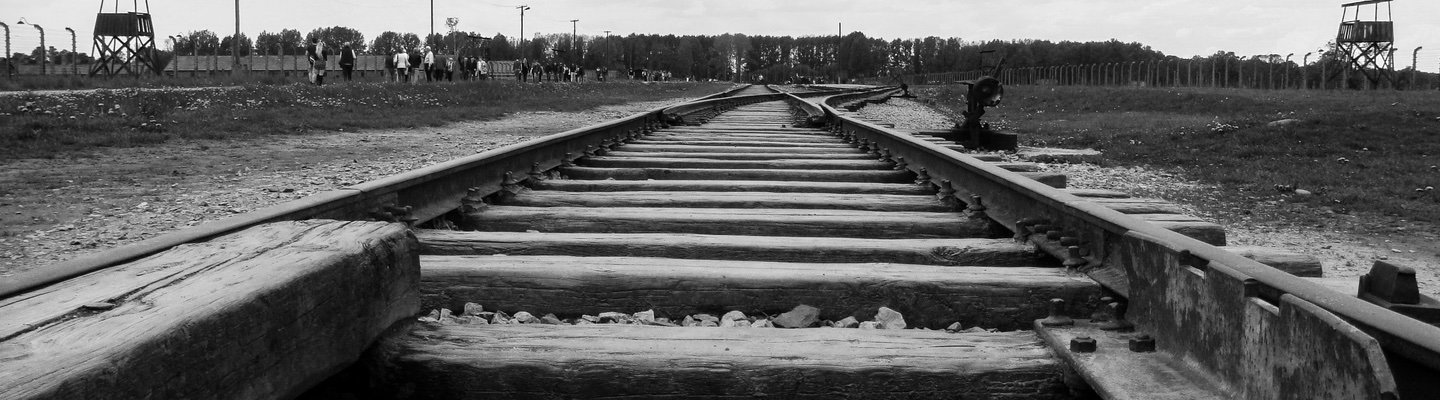 To print the story please do so via the link in the story toolbar.