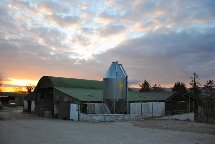 http://theeverydayextraordinary.com/2014/07/08/life-on-an-irish-farm/