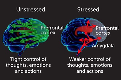 Share