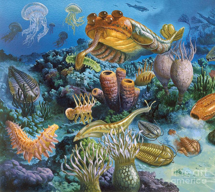 Phanerozoic Eon; Paleozoic Era. Started 542 MYA lasted until 251 MYA.