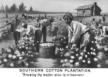 The “Cotton Kingdom” develops in the South. It developed into a huge ...
