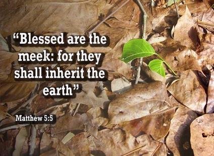 The Second Beatitude