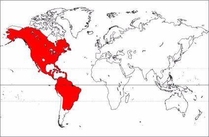 According to PBS.org, from 1500-1808 over 12.5 million Africans were ...