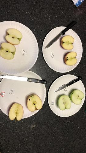 Trial Two, Initial Cut