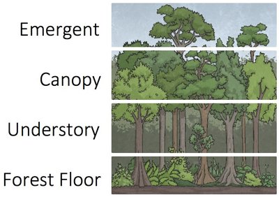 Image source: Twinkl