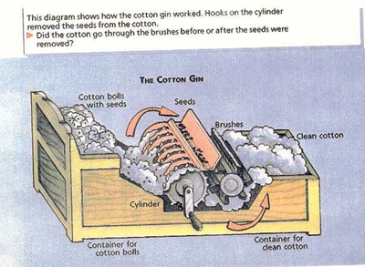 The Cotton Gin allowed for faster separation of Cotton and seed, and ...