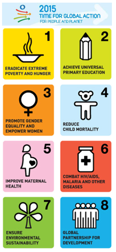 United Nations. (2013). United Nations Millennium Development Goals ...