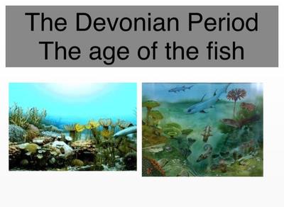 Devonian Period: