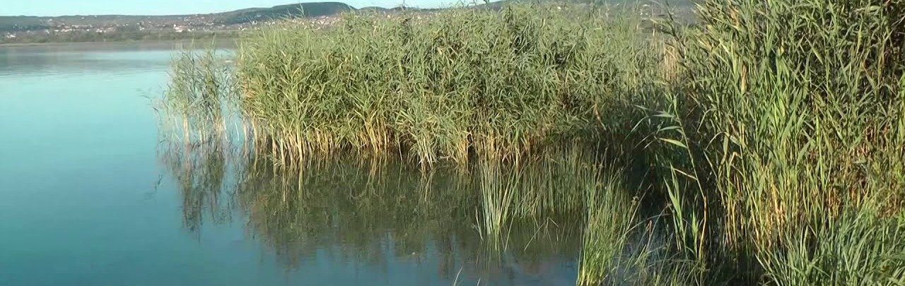 To print the story please do so via the link in the story toolbar.