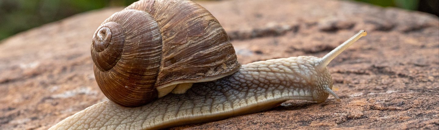 To print the story please do so via the link in the story toolbar.