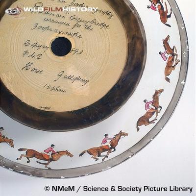 http://www.wildfilmhistory.org/person/180/photo/497/Eadweard+Muybridges ...