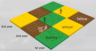 Example of the four-crop rotation method.