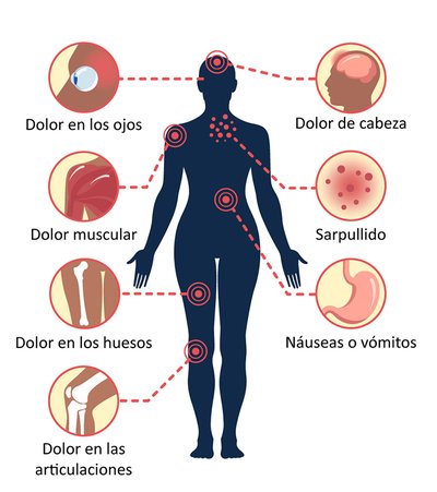 La medicina homeopática considera que los síntomas de la enfermedad son ...