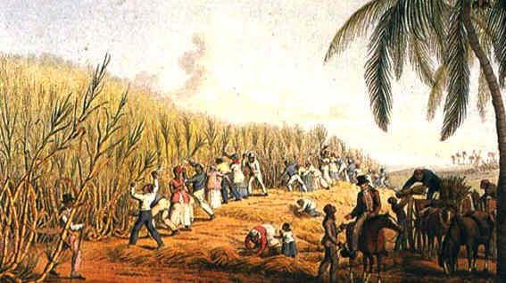 1501, Spanish settlers bring the first enslaved people from Africa to ...