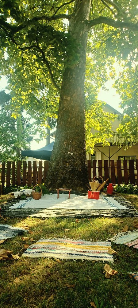 Mesefa alatt terem a mese!