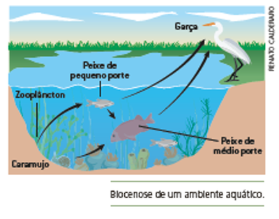 COMUNIDADE OU BIOCENOSE