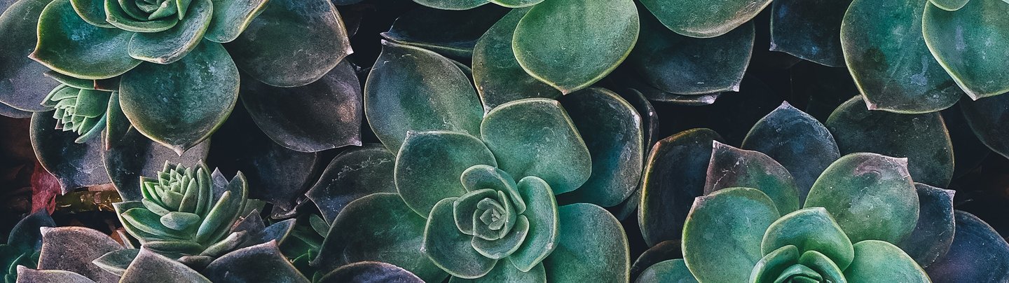 To print the story please do so via the link in the story toolbar.