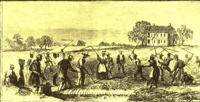 Colonel Lloyd's Plantation