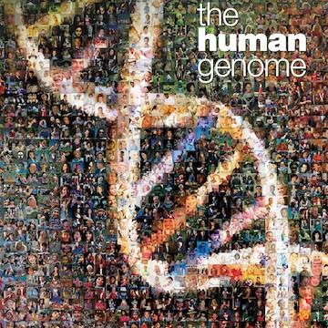 The Human Genome. (February 2001). Nature. Retrieved April 26, 2015 ...