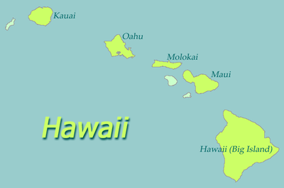 On August 21, 1959, the popular vote voted Hawaii as the 50th State of ...