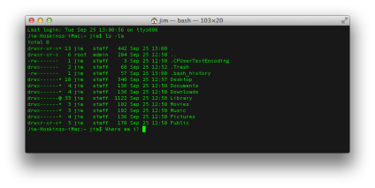 TERMINAL UNIX