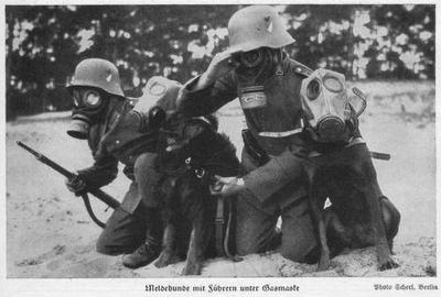April 22, 1915: When the Germans first used poison gas. Germany was the ...