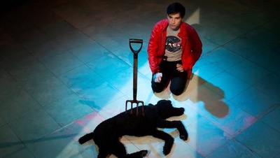 "The dog was dead. There was a garden fork sticking out of the dog ...