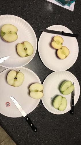 Trial One, Initial Cut