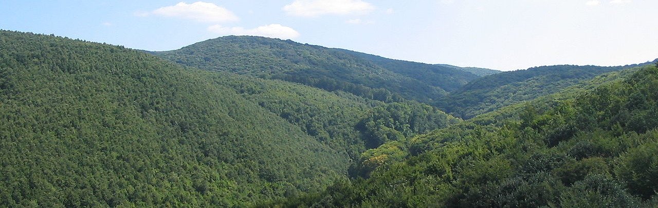 EL