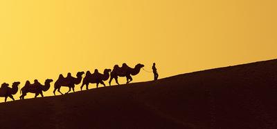 https://fee.org/articles/the-silk-road-back-to-leviathan/
