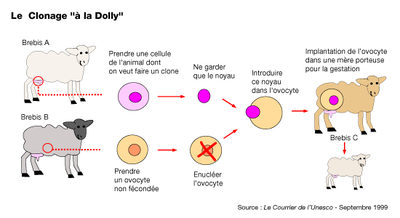 courrier de l'UNESCO septembre 1999