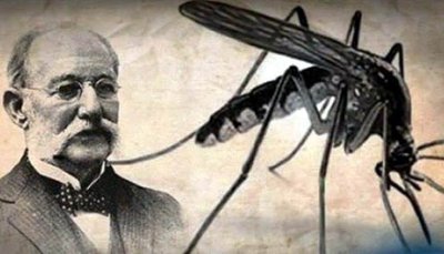 Carlos Finlay (1833 - 1915)