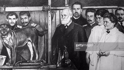 http://www.gettyimages.com/photos/pavlov's-dogs?excludenudity=true ...