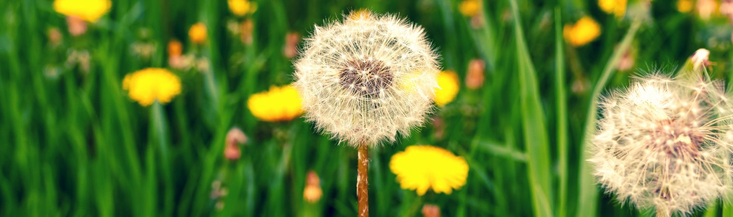 To print the story please do so via the link in the story toolbar.